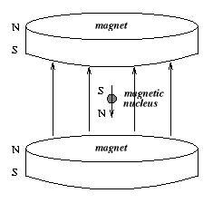 A Layman's Introduction to Nuclear Magnetic Resonance